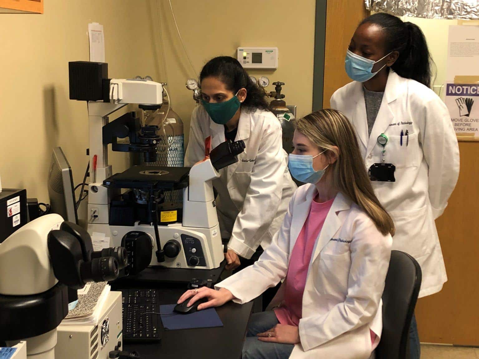 Tumor-Killing Cells and Curing Metastasis: UAB Scientists Talk BCRFA ...