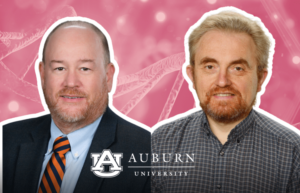 Auburn Researchers Discuss Progress on BCRFA-funded Project to Tackle ...